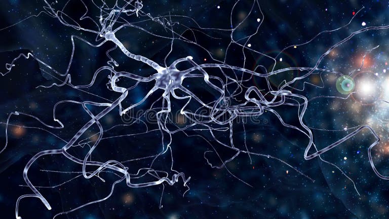Neuron Brain Cell Stock Illustrations – 13,417 Neuron Brain Cell Stock ... Neuron Brain Cell Stock Illustrations – 13,417 Neuron Brain Cell Stock ...