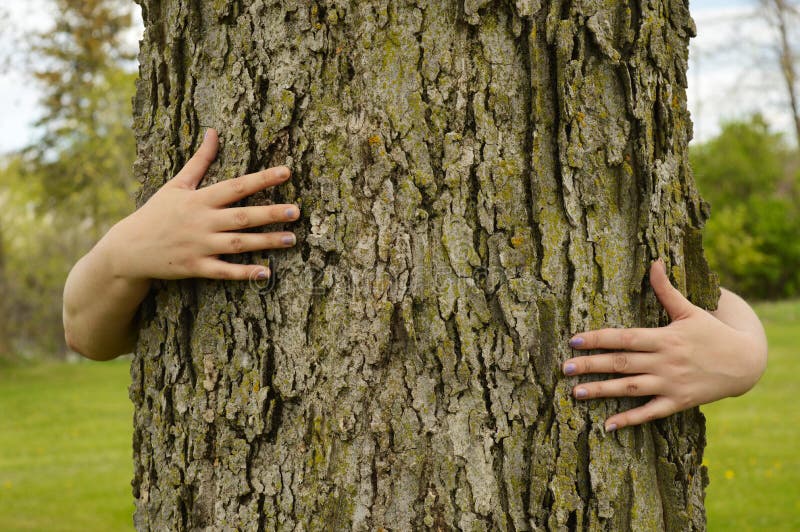 Tree Hugging Environmentalist Stock Photo - Image of hand, conservation ...