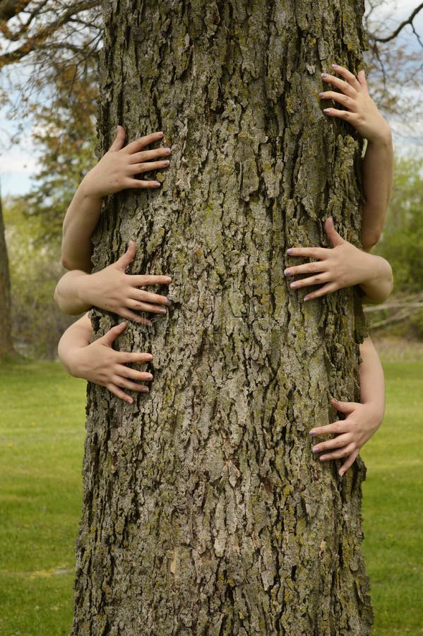 Tree Hugging Environmentalist Stock Photo - Image of hand, conservation ...