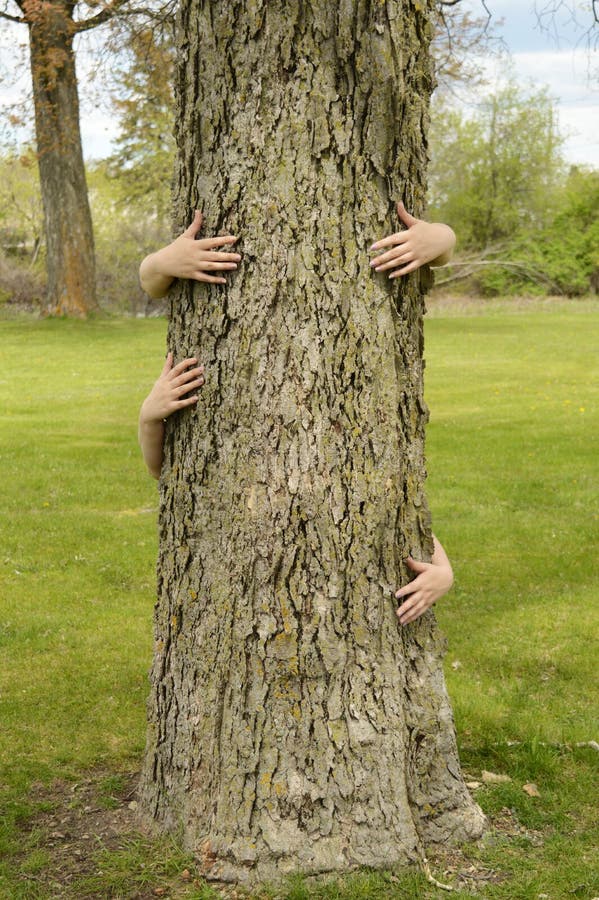 Tree Hugging Environmentalist Stock Photo - Image of hand, conservation ...