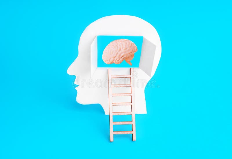 Conceptual Representation of Brain Exploration with Ladder and Cutout ...