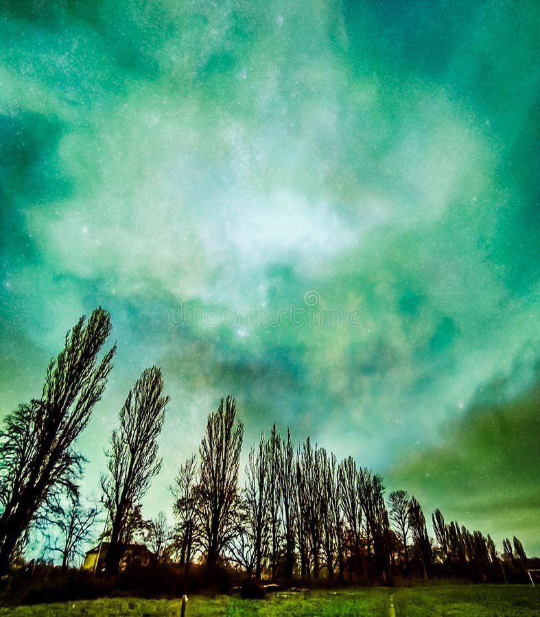 Conceptual Sky at December with Tall Trees Stock Image - Image of ...