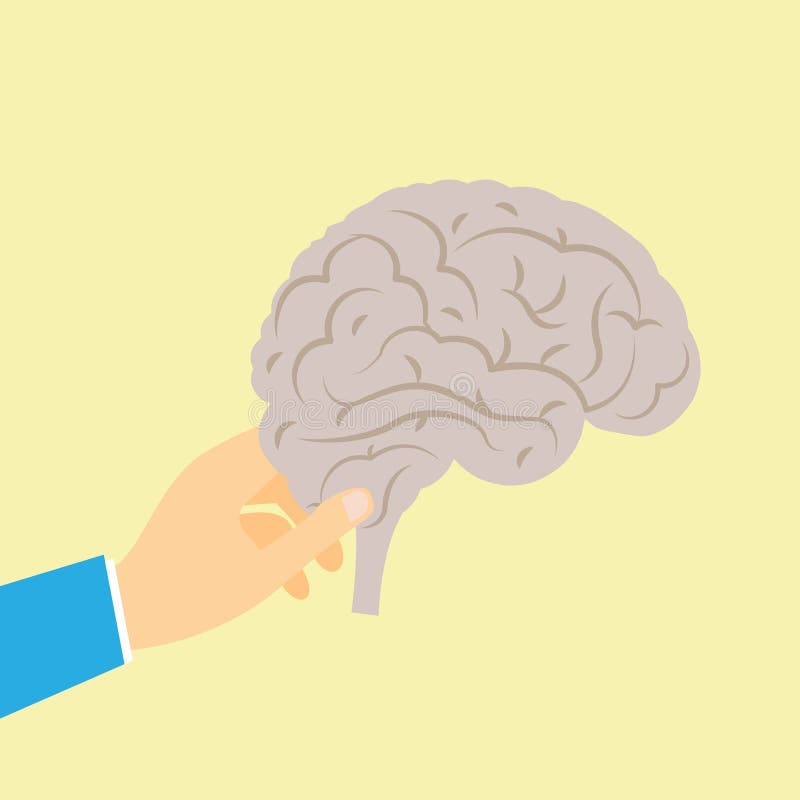 Conceptual Vector of a Human Hand Holding a Brain Stock Vector ...