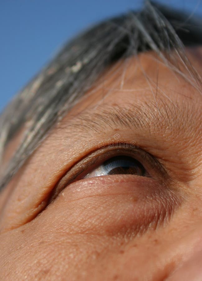 730 Old Man Look Up Hopeful Stock Photos - Free & Royalty-Free Stock ...