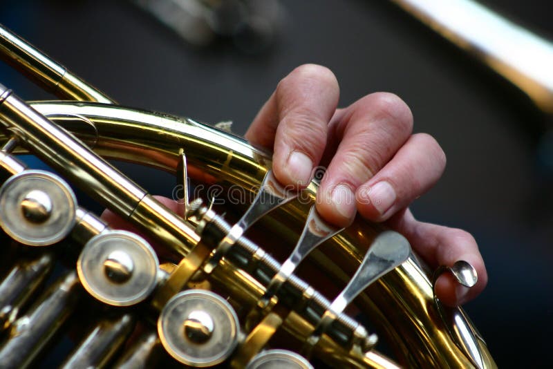 Bassoon Woodwind Instrument Stock Photo - Image of double, close: 31310856