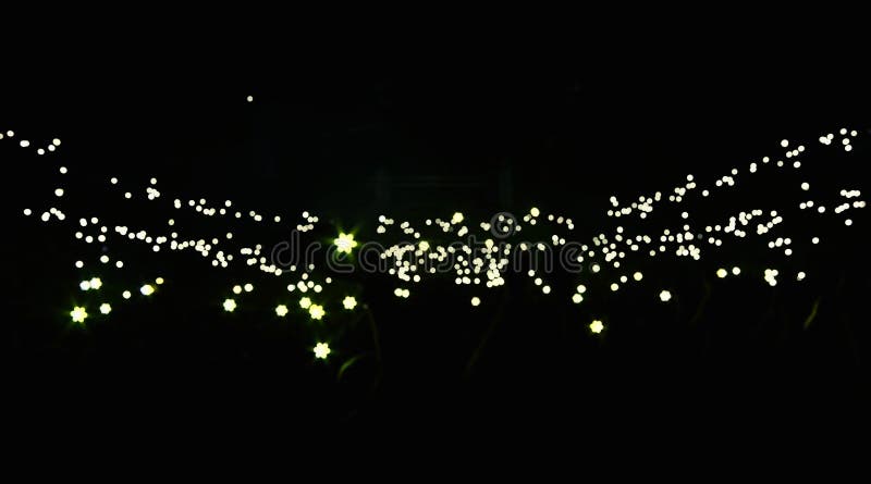 Concert Audience and the Lights in the Background Stock Image - Image ...