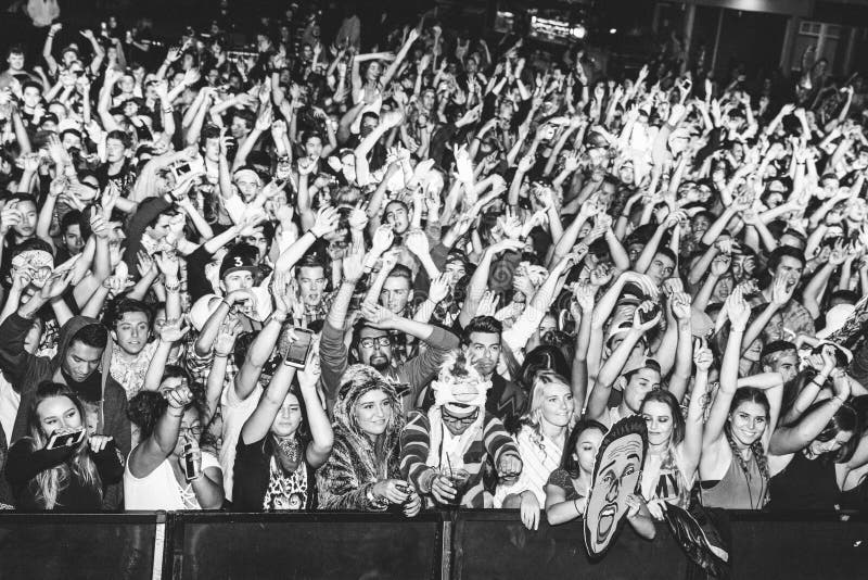 Punk Rock Girl stock image. Image of brunette, caucasian - 5141701