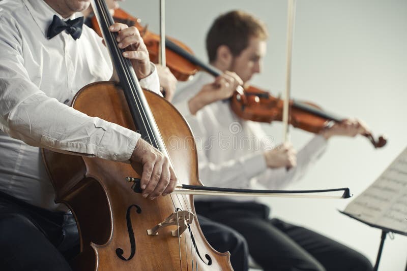 Membre D'un Orchestre De Musique Classique Jouant Du Violon Lors D'un ...