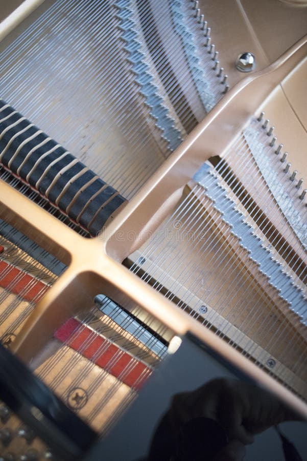 207 Open Grand Piano Strings Stock Photos - Free & Royalty-Free Stock ...