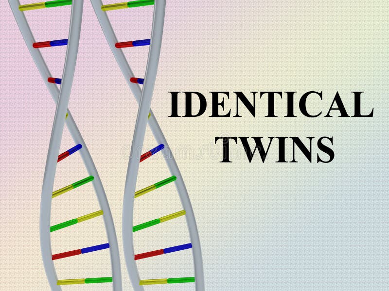 Gemelli Monozigoti Con Le Oscillazioni Di Umore Identiche Illustrazione ...