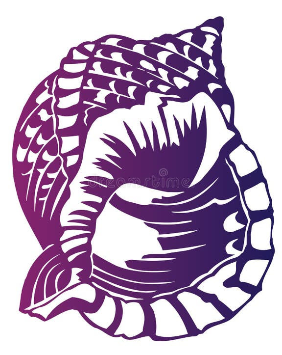 Ocean Conch Stock Illustrations – 21,247 Ocean Conch Stock ...