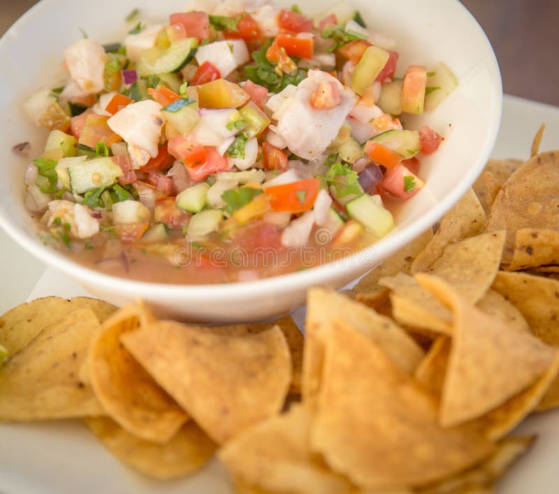 Conch Ceviche with chips stock image. Image of seafood - 294815303