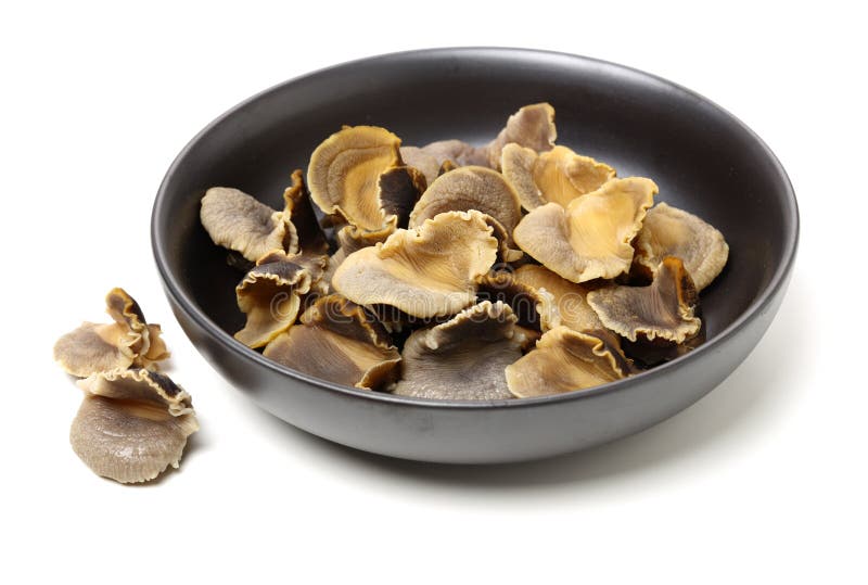 Conch meat stock photo. Image of drink, seafood, isolated - 118202952