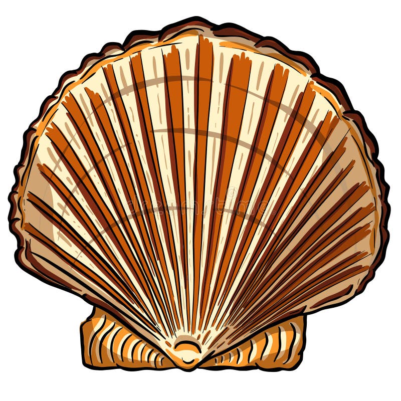 Conch Sea Snail Shell Outline Cartoon Style Logo Design in Vector Stock ...