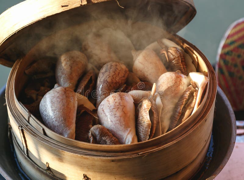 Conch seafood stock photo. Image of pattaya, seafood - 59116362