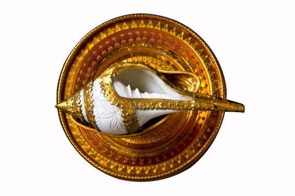 Conch shell on golden tray stock image. Image of animal - 22394861