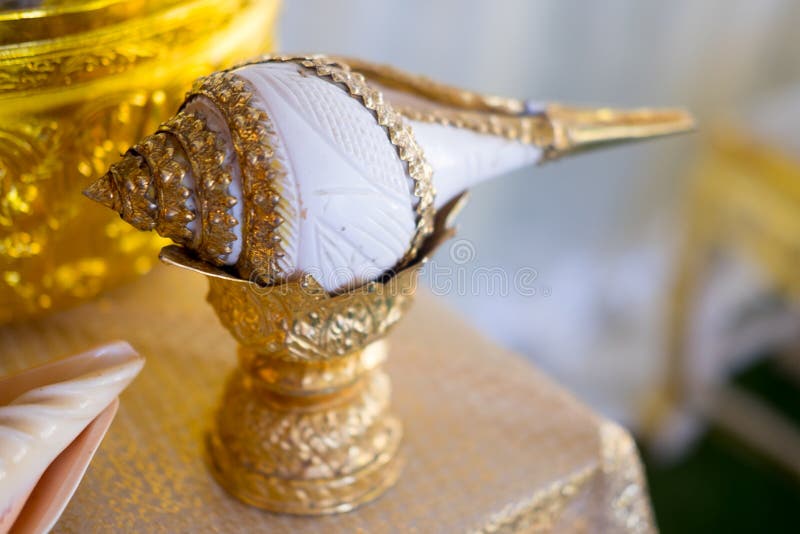 Sea Shell Wedding Cake stock photo. Image of unique, cake - 2751786