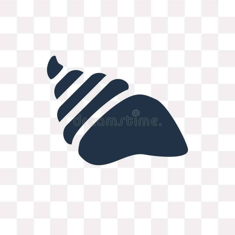 Coneshell Stock Illustrations – 3 Coneshell Stock Illustrations ...