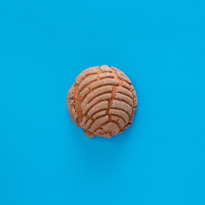 Concha Bread, Mexican Sweet Scone on Blue Surface. Stock Image - Image ...
