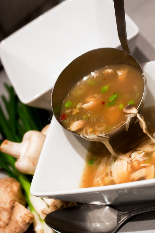 Concha da sopa foto de stock. Imagem de saborosa, coma - 13457506
