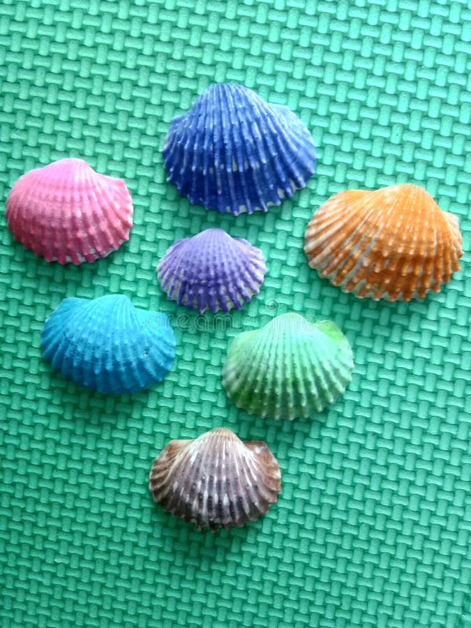 Concha De Colores En El Mapa Imagen de archivo - Imagen de playa ...