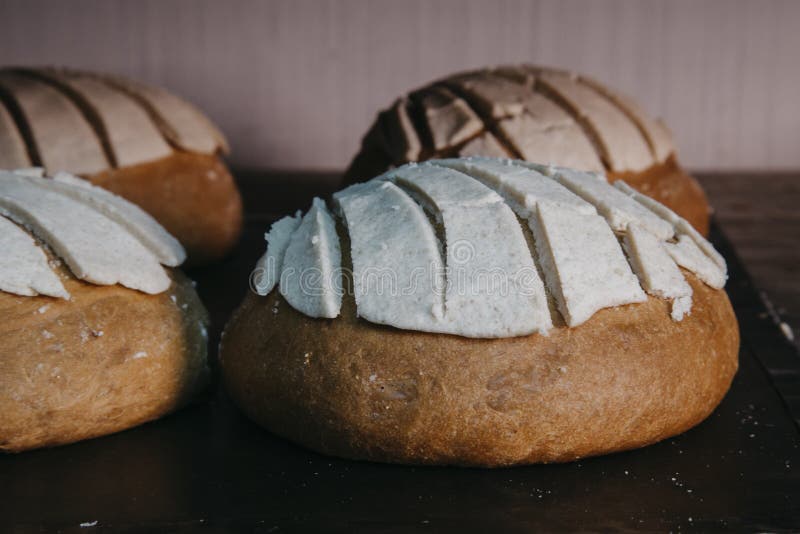 Concha with White Cover Mexican Bread Stock Image - Image of nutrition ...