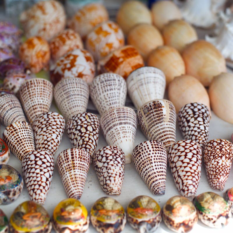 Conchas Marinas Para La Venta En Una Playa En Bali Foto de archivo - Imagen de arena, venta ...