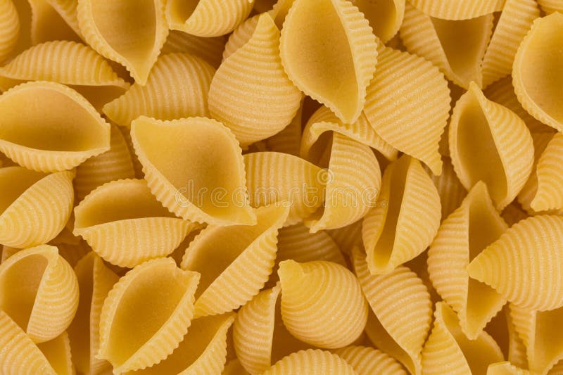 Conchiglie pasta shell stock image. Image of lunch, conchiglie - 278170683
