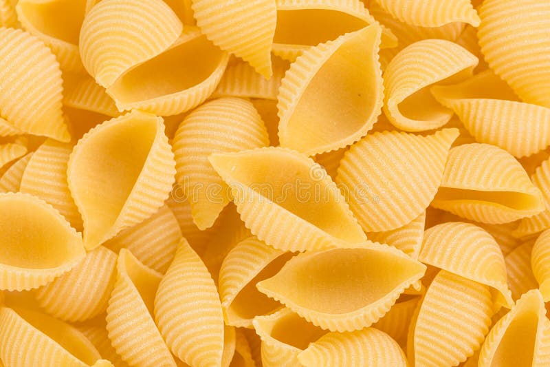 Conchiglie pasta shell stock photo. Image of shell, foodstuff - 280096100