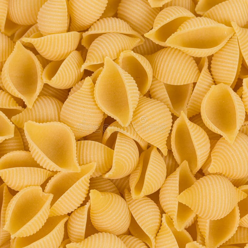 Conchiglie pasta shell stock photo. Image of spaghetti - 281638174