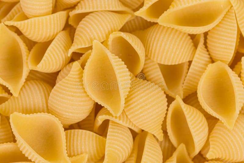 Conchiglie pasta shell stock photo. Image of italian - 302531262