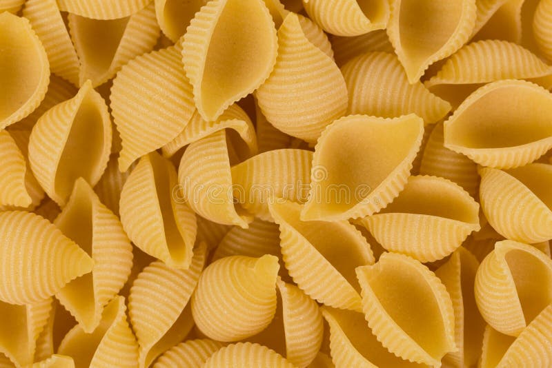 Conchiglie pasta shell stock photo. Image of dried, white - 52664222