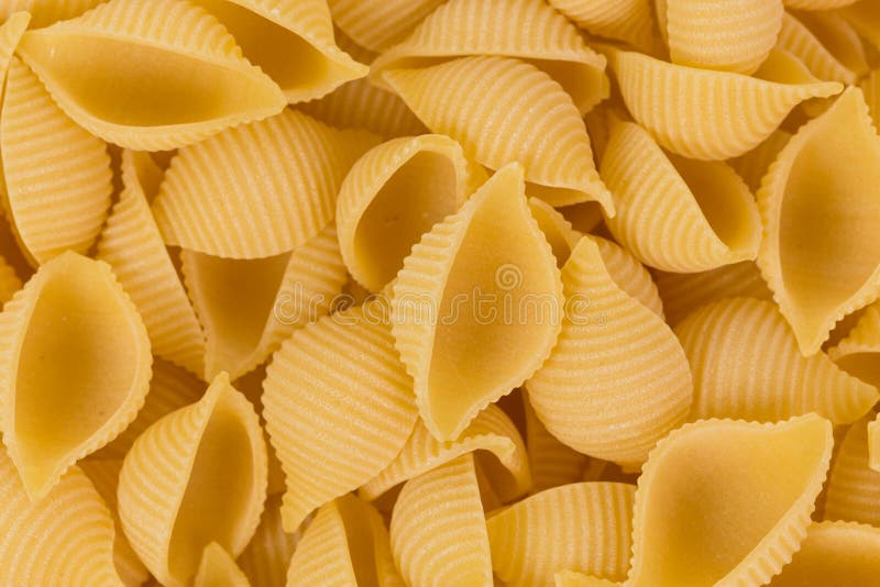 Conchiglie pasta shell stock photo. Image of pasta, uncooked - 58289178