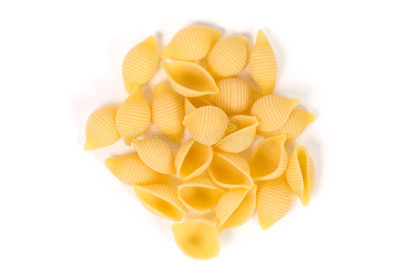 Conchiglie pasta shell stock photo. Image of object - 278170670
