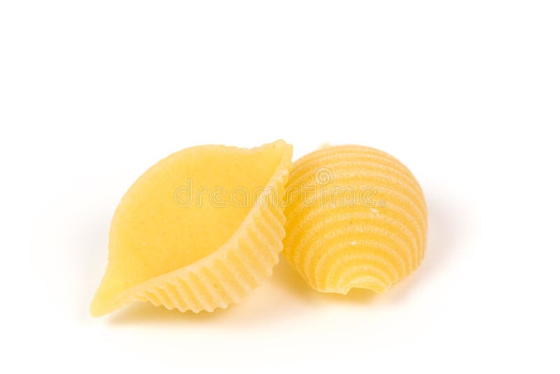 Conchiglie pasta shell stock photo. Image of isolated - 62691302