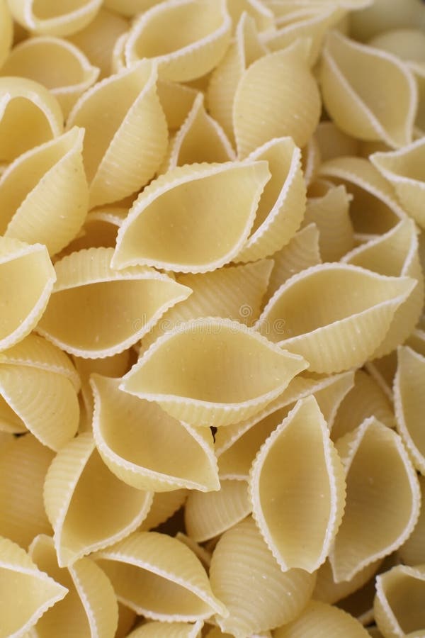 Conchiglie pasta shells stock image. Image of health, dried - 2671737