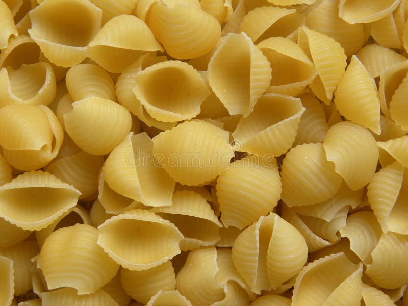 Conchiglie rigate pasta stock image. Image of diet, gourmet - 175325743