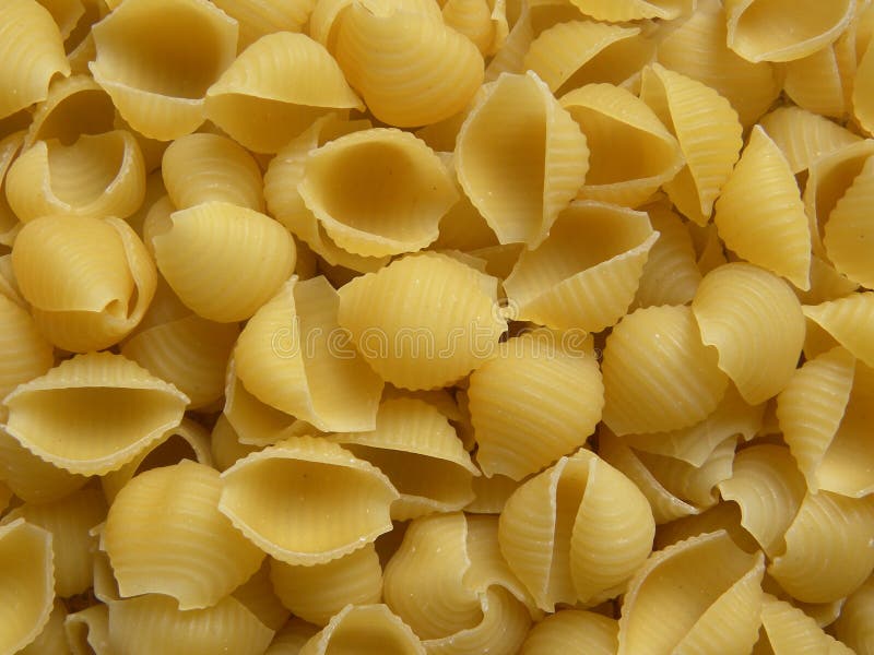 Conchigliette pasta stock image. Image of conch, eating - 175325921