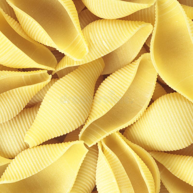 Conchiglioni pasta shells stock photo. Image of isolated - 15282818