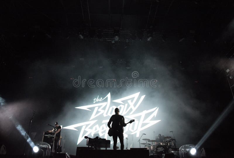 La Banda De Punk Rock Del Ska De Ska-P De España Realiza Vivo En La ...