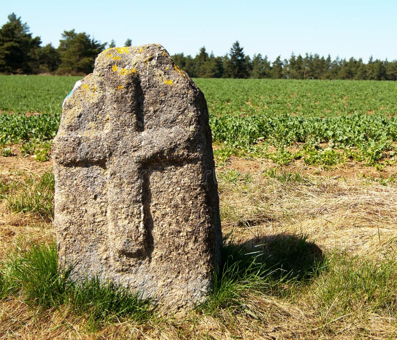 2,139 Photos de Cruciforme - Photos de stock gratuites et libres de ...