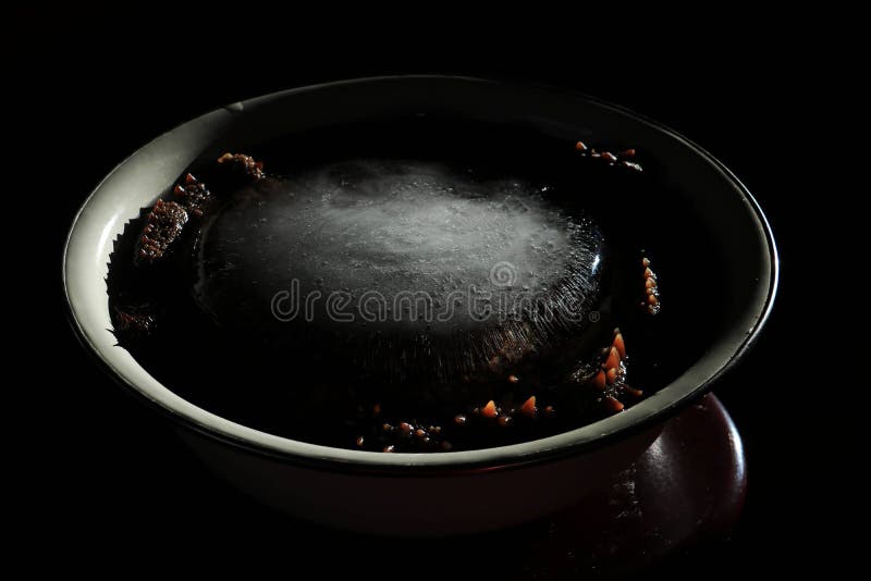 Concombre De Mer ; Lingot De Mer ; Trepang ; Beche-De-MER ; Holothurian ...