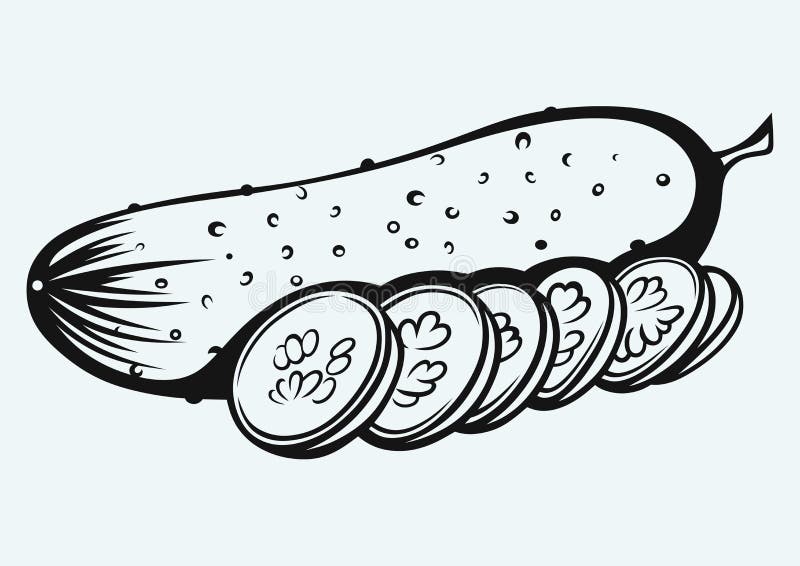Concombre et parts illustration de vecteur. Illustration du isolement ...