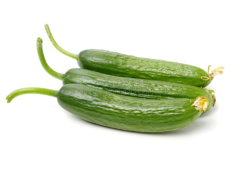 Concombre libanais photo stock. Image du santé, libanais - 146151036