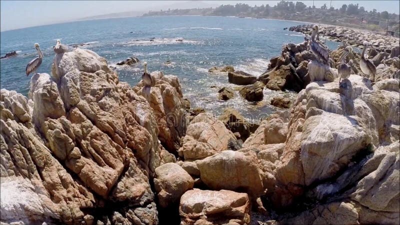 Concon beach in Chile stock image. Image of landscape - 89147165