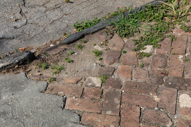 Crumbling Brick and Concrete Stairs, Entry with Concrete Sidewalk and ...