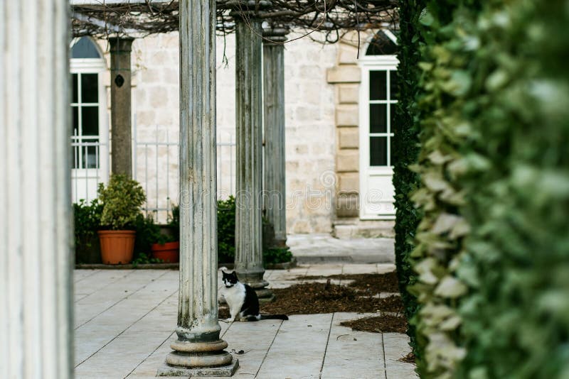 Beautiful Pillars on American Home Entry Stock Image - Image of grass ...