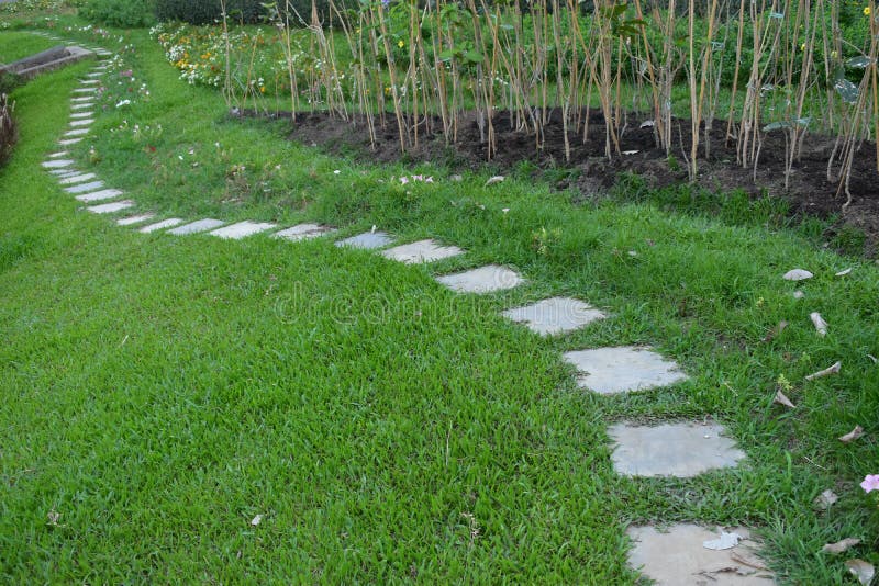 Concrete Pathway Pavement Step on Green Grass Stock Photo - Image of ...