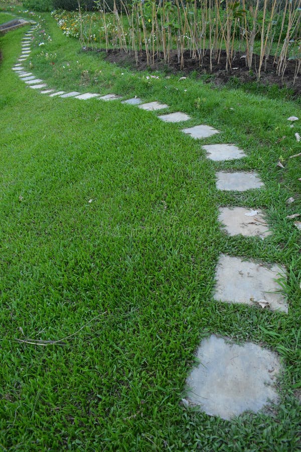 Concrete Pathway Pavement Step on Green Grass Stock Photo - Image of ...
