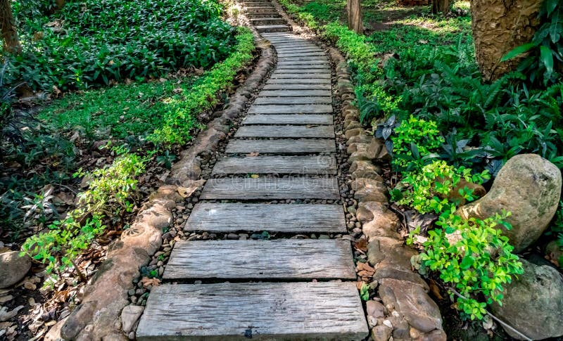 Concrete Pathway in garden stock image. Image of path - 107022785